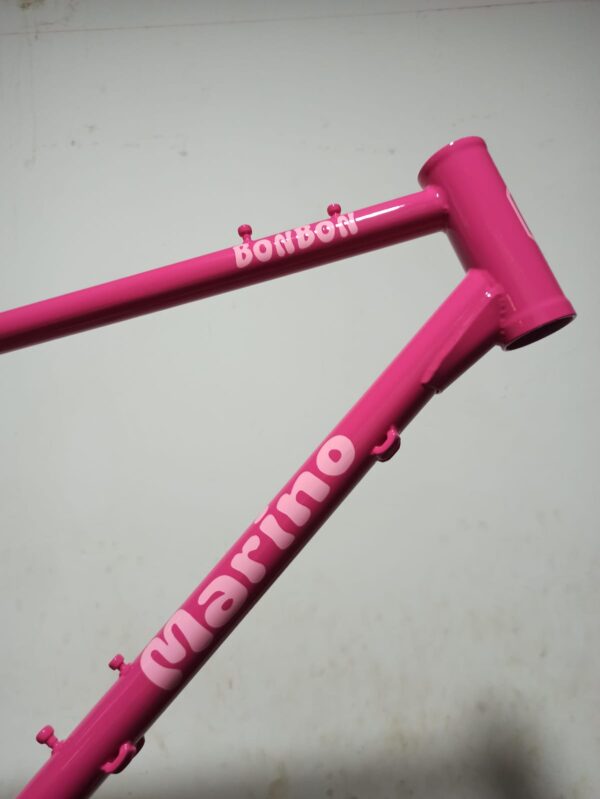 CUstomization options – 2025 - MarinoBike