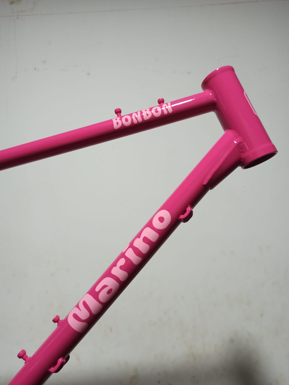 CUstomization options – 2025 - MarinoBike